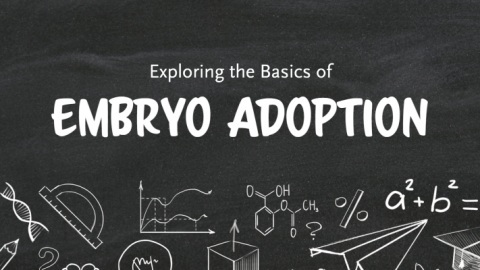 Exploring the Basics of Embryo Adoption