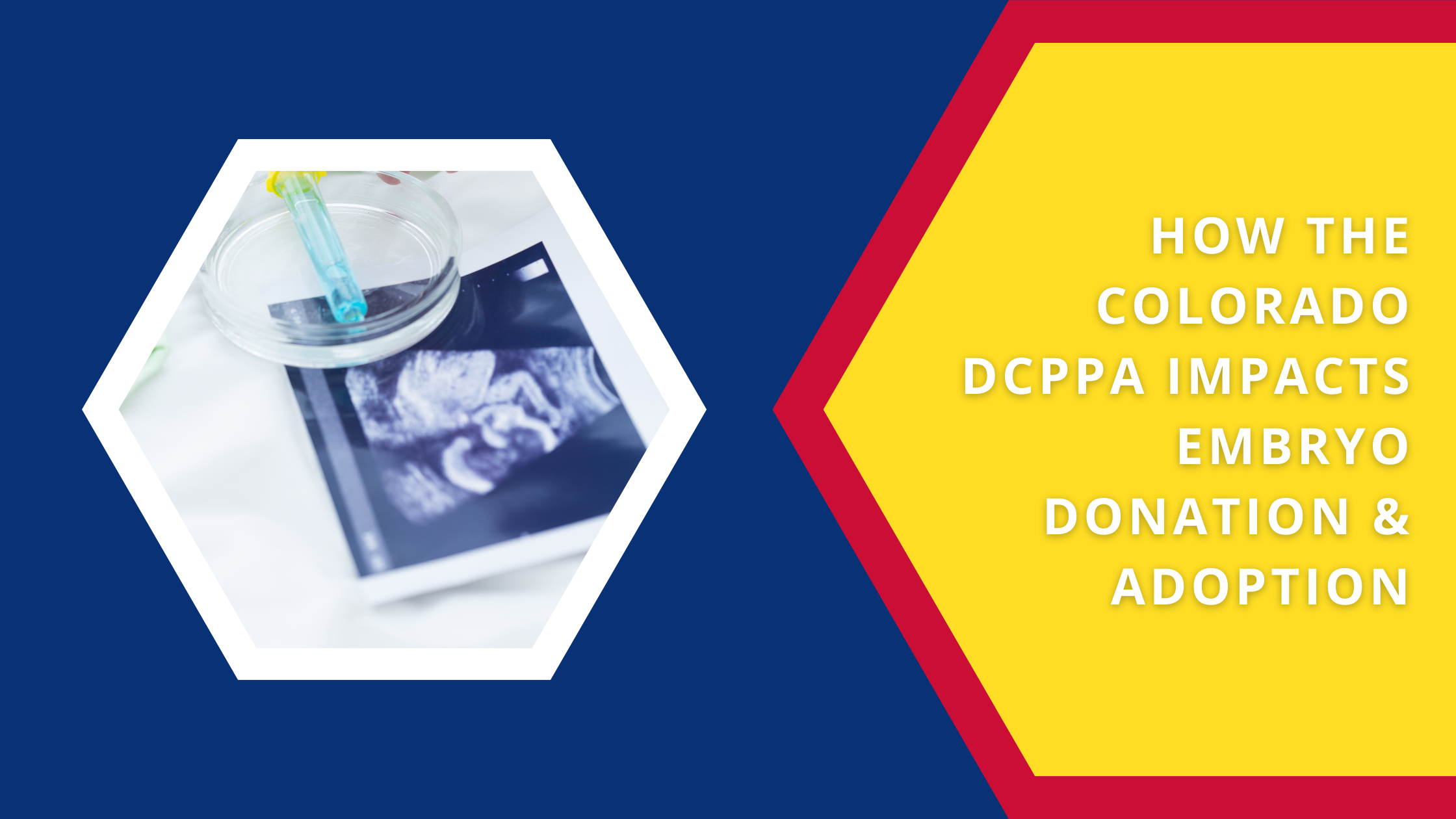 How Colorado’s DCPPA Impacts Embryo Donation and Adoption - Embryo ...